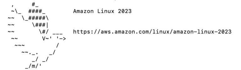Amazon Linux 2023 on Hyper-V | Tim Anderson's IT Writing